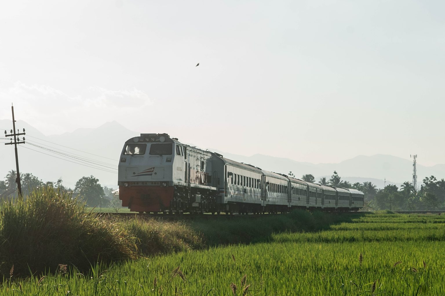 25 Tahun CC 203: Karir Panjang Sang Railsprinter