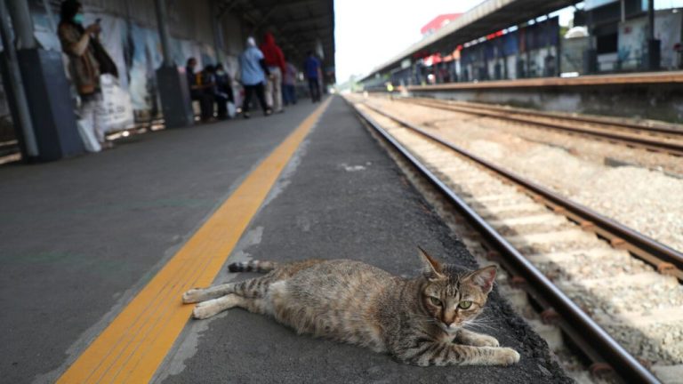 KAI Commuter Minta Saran Pengguna dan Pecinta Kereta Api Untuk Tangani ...